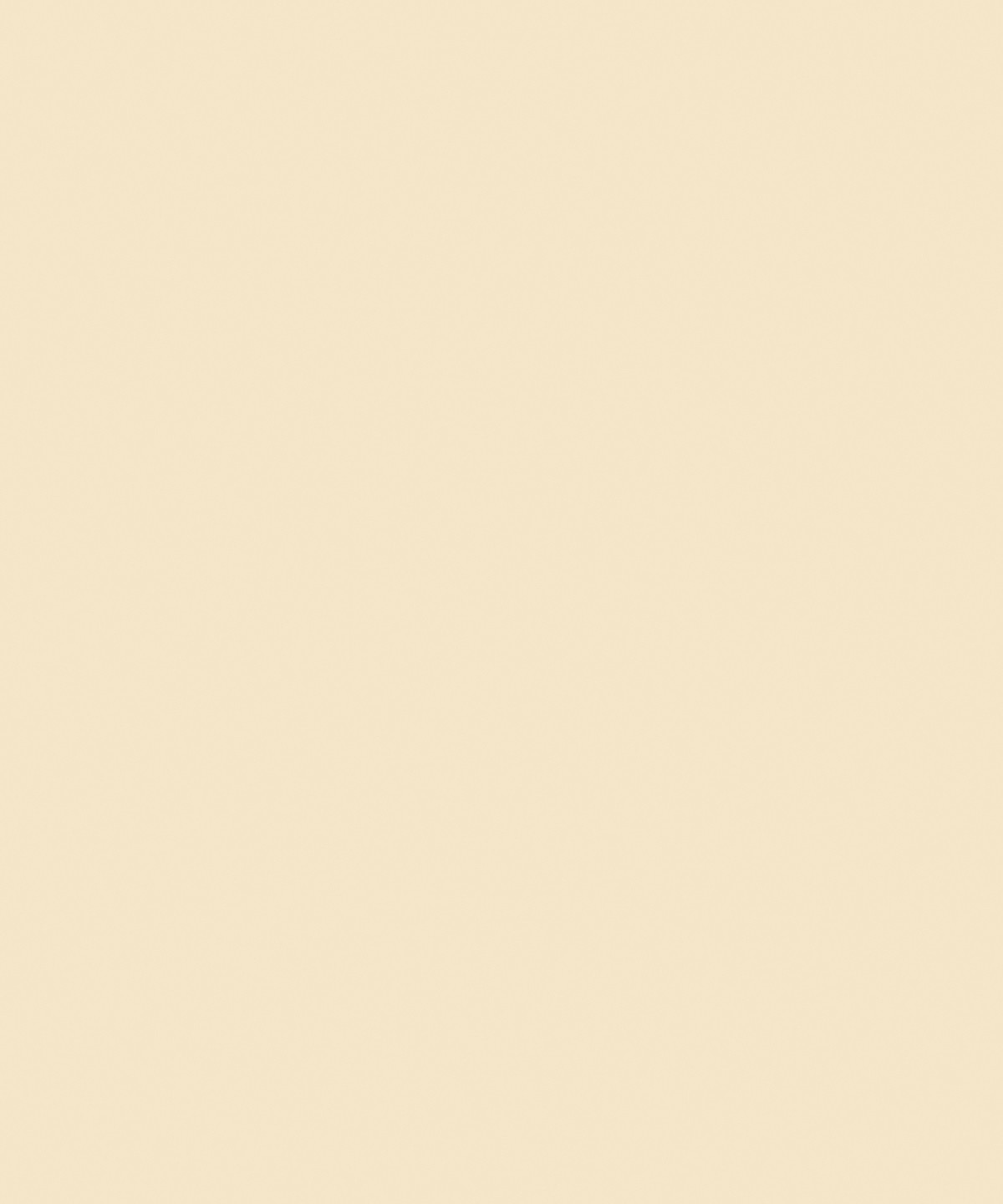 Madeira Classic No. 40 Machine Embroidery Thread (MR001) - 100% Viscose ...